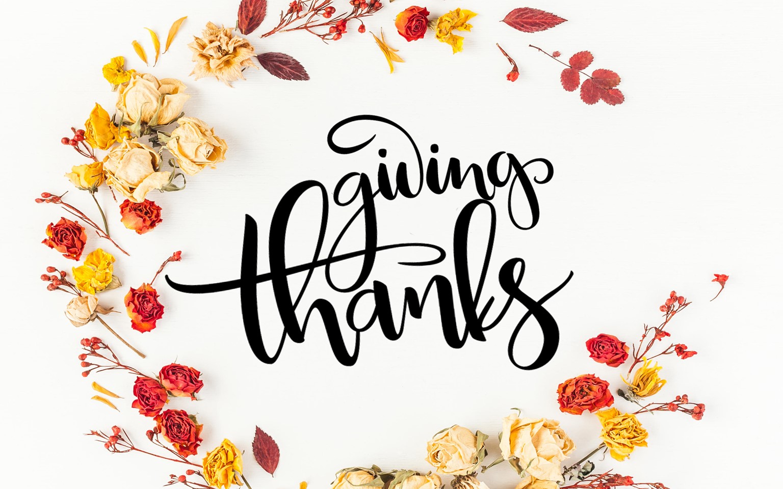 Gratitude + Giving Calendar for November – Thanksgiving Edition | tlcms.org