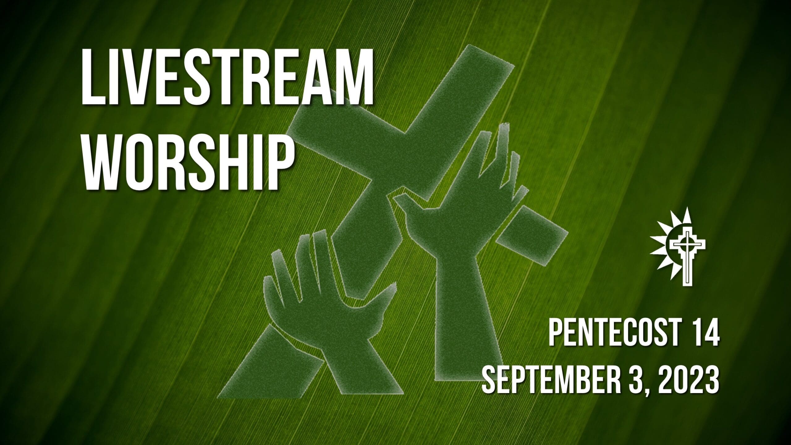 Sunday Worship – September 3 | tlcms.org