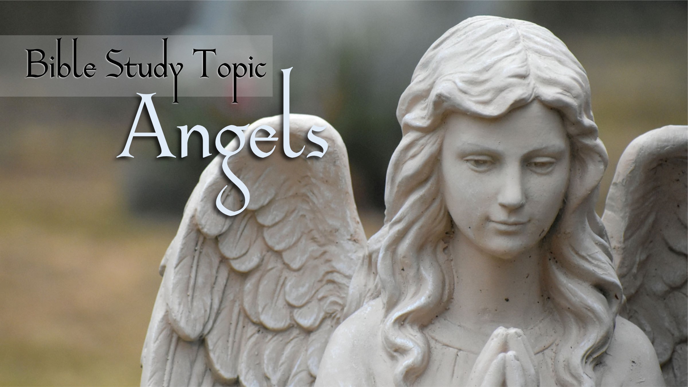 9:45am Bible Study Topic: Angels | tlcms.org
